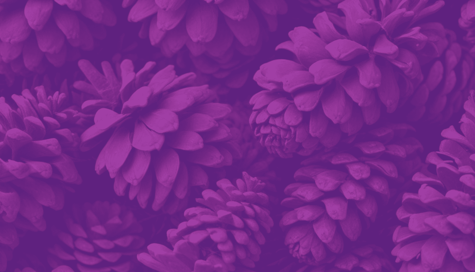 Vector Search Techniques for AI in Pinecone